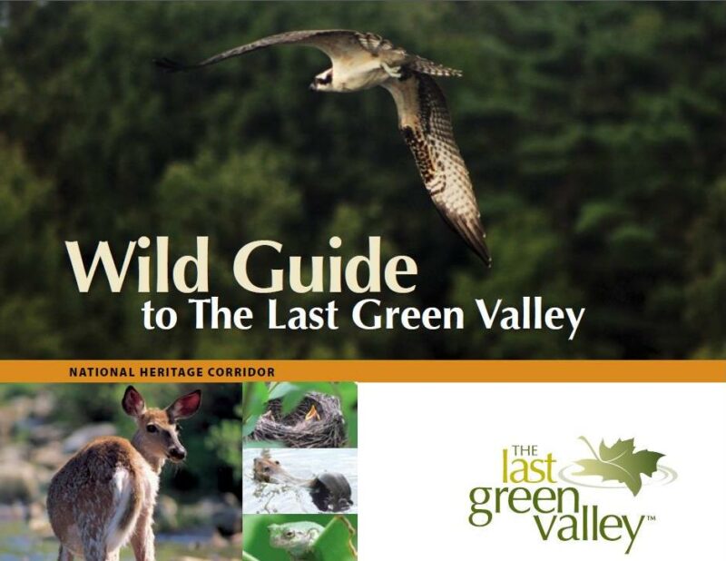 Additional Brochures to Download - The Last Green Valley