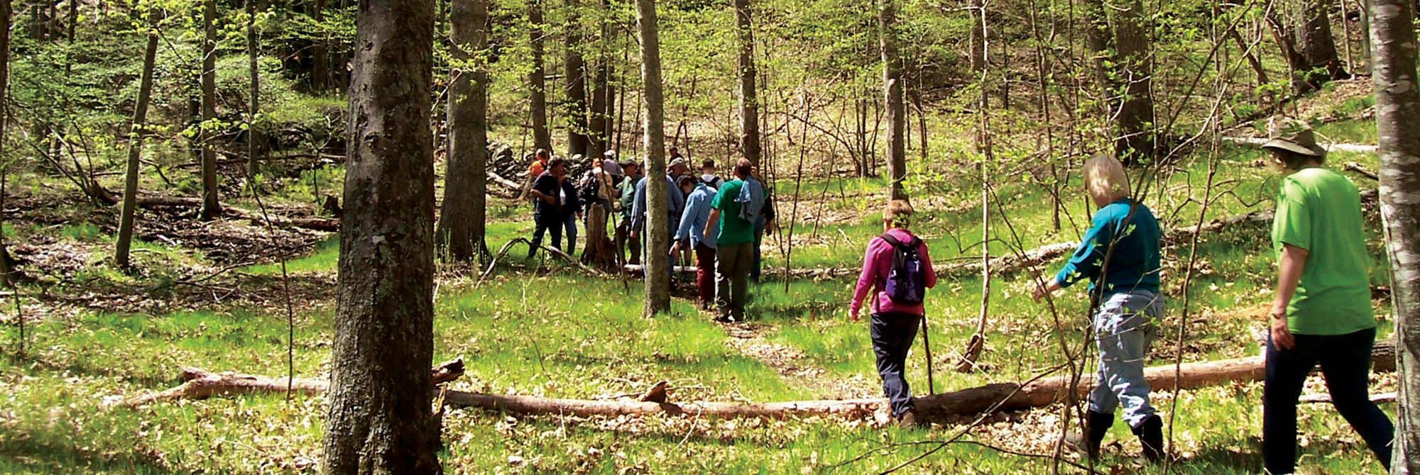 Kick Off Spring with 3/20 Vernal Equinox Hike - The Last Green Valley