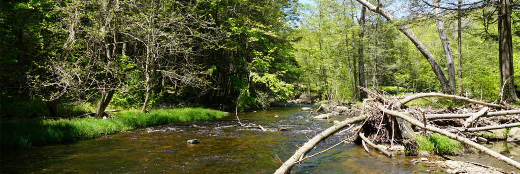 Discovering the National Heritage Corridor in The Last Green Valley