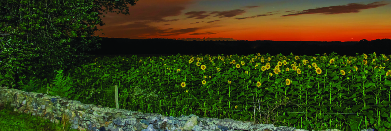 Discovering the National Heritage Corridor in The Last Green Valley