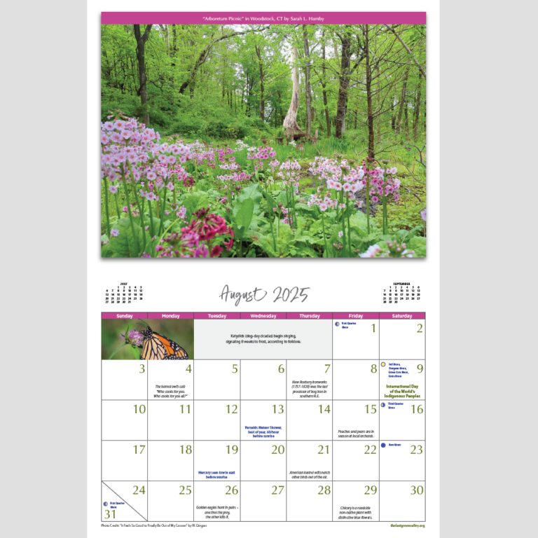 2025 Wall Calendar - Scenes - The Last Green Valley